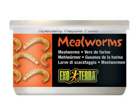 Exo Terra - Mealworms 34g - Akvariumkungen.se