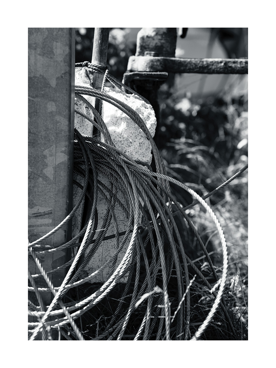 Tangled - Poster - Crooked Arts
