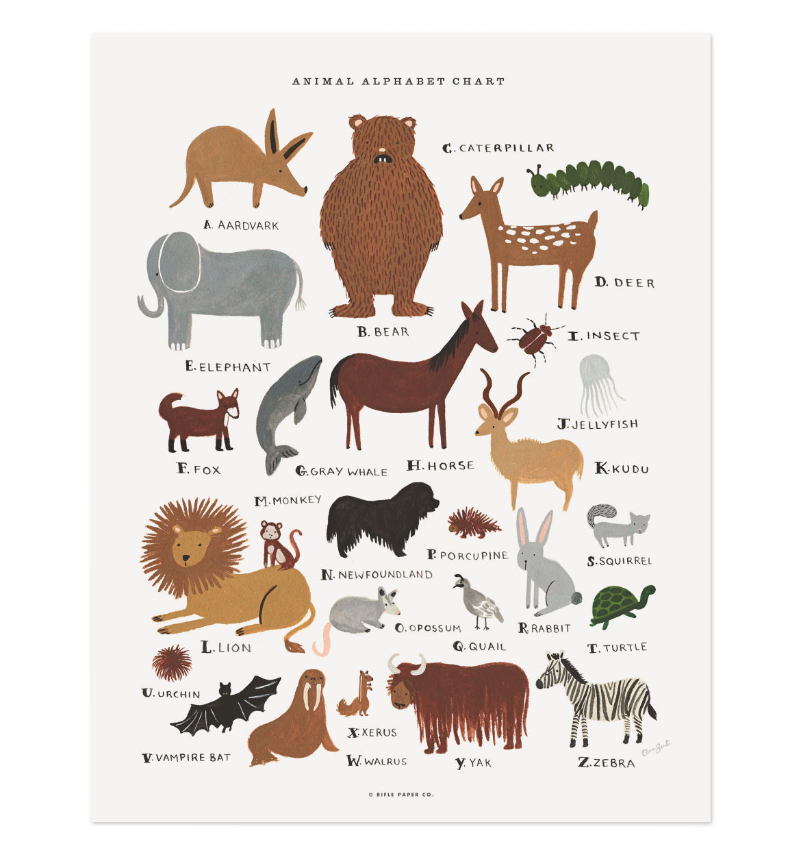 Animal Alphabet Chart Print 40x50 - Riflepaperco.se