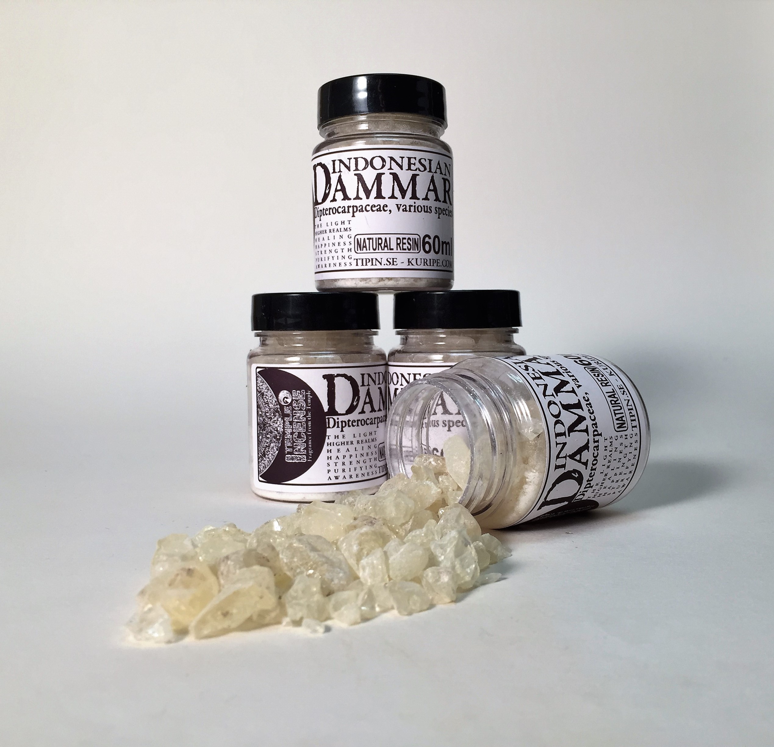 Dammar (Canarium strictum) - kuripe.com