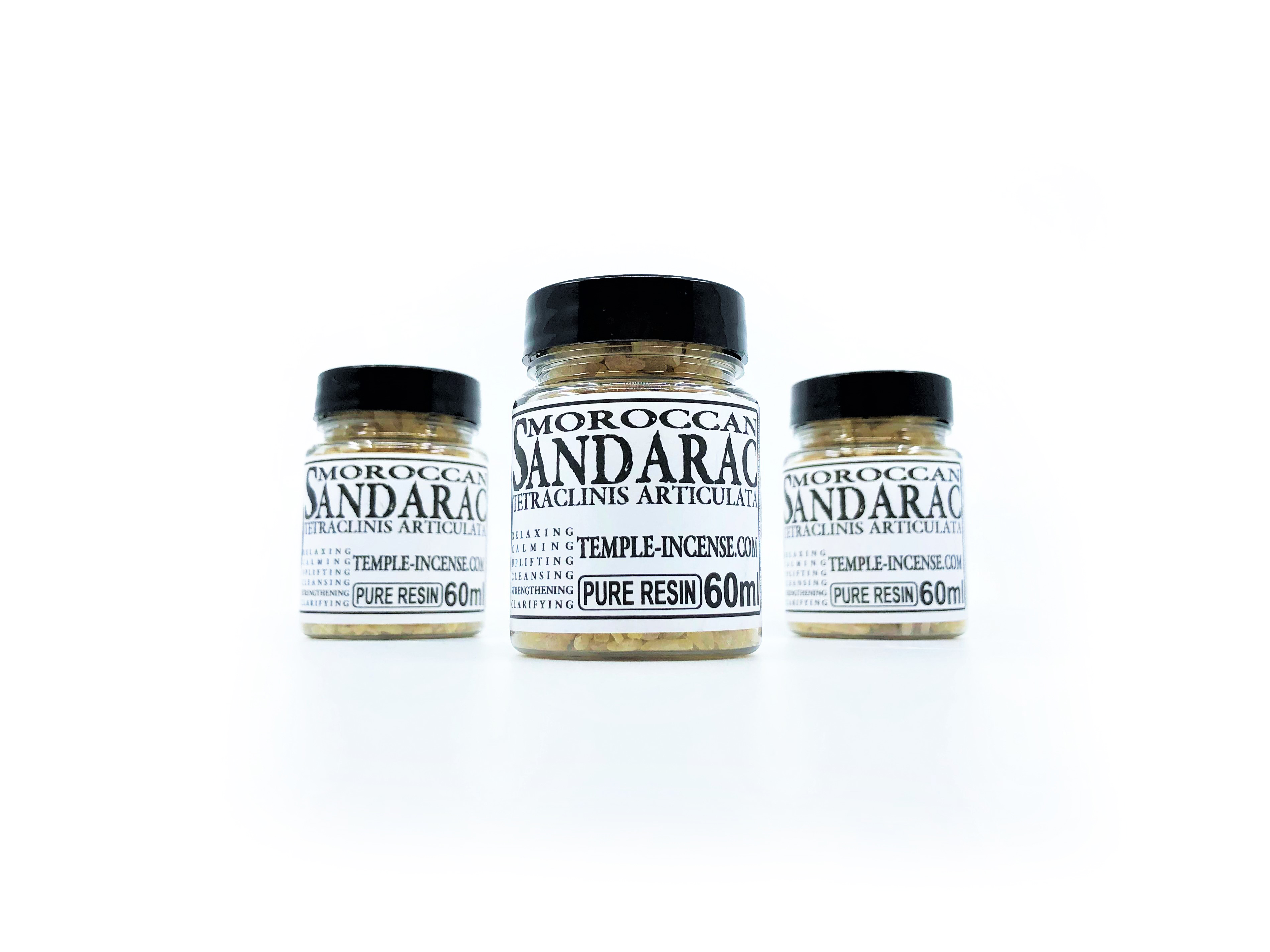 Sandarac (Tetraclinis articulata) - kuripe.com