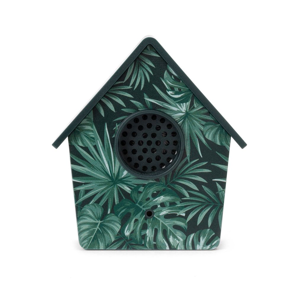 The Sound of Nature - Birdsong box - KIDEK