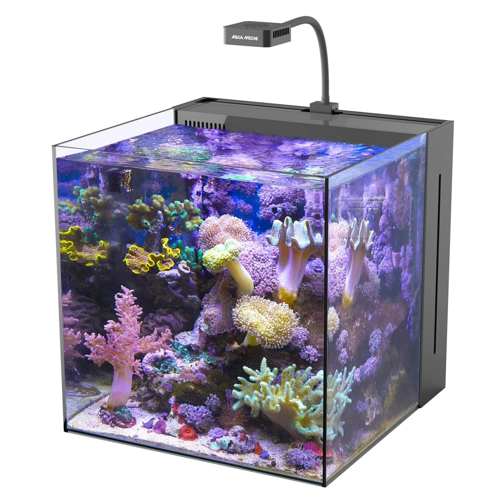 Aqua Medic Nano Reeftank Yasha - Salt i Väst