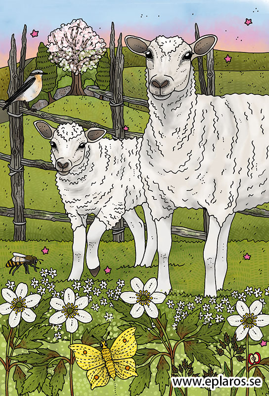 Vykort 10x15 cm Fårvår - eplaros