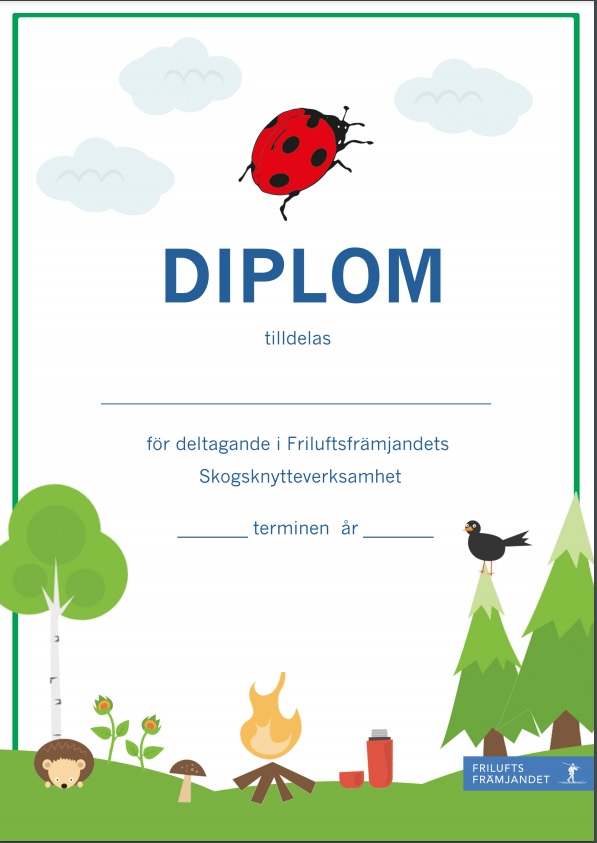 Diplom Skogsknytte Grön - 20-pack - Friluftsfrämjandet’s butik