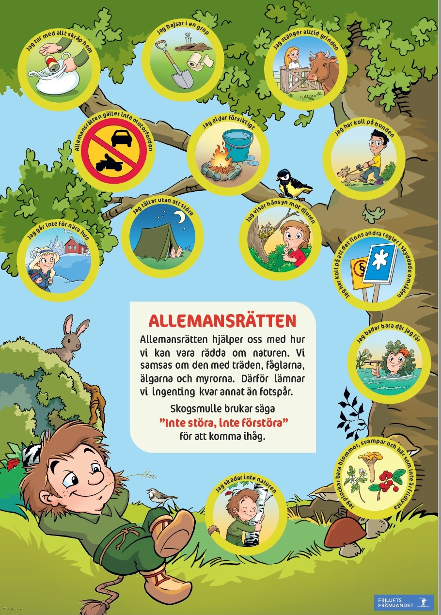 Affisch Skogsmulle och Allemansrätten - Friluftsfrämjandet’s butik