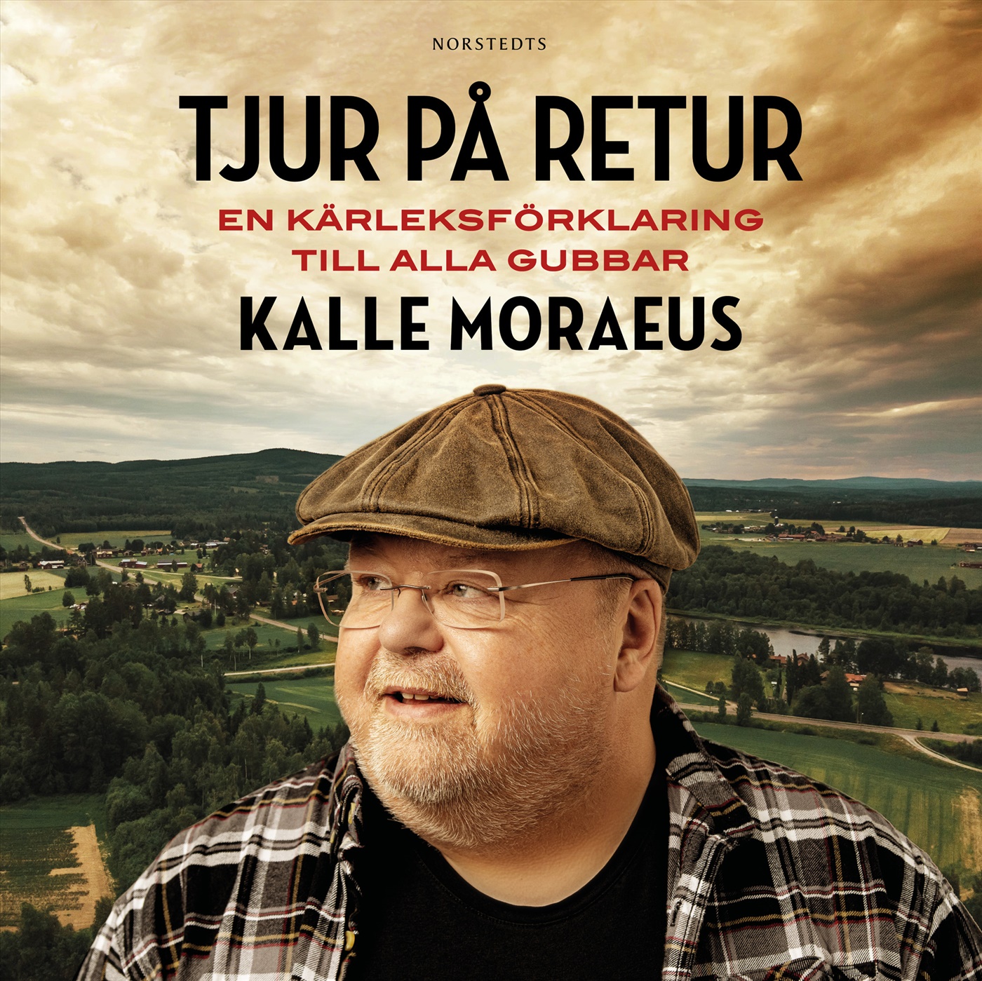 Tjur på retur : en kärleksförklaring till alla gubbar, Ljudbok ...