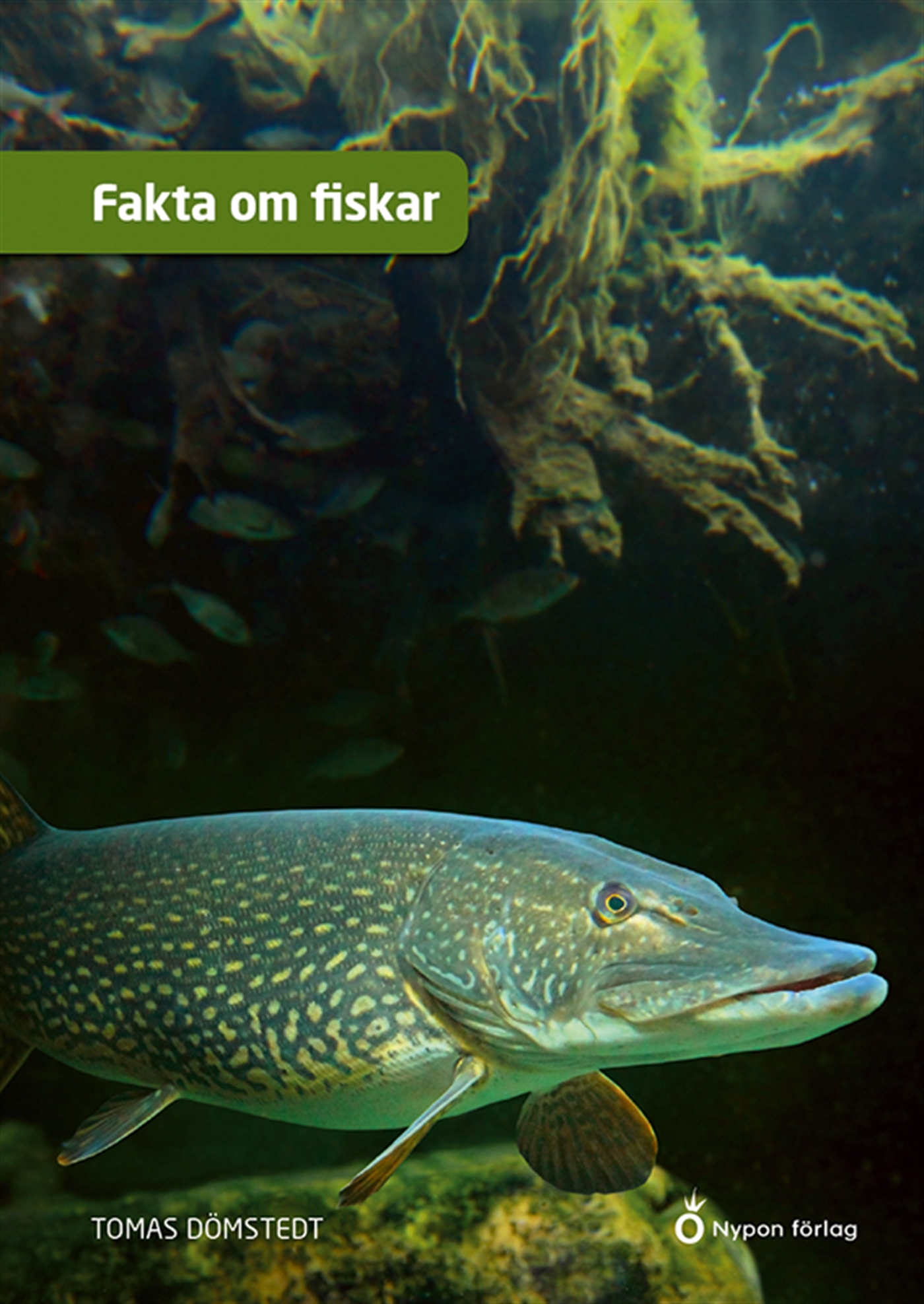 Fakta om fiskar, E-bok - Ordochbok.se