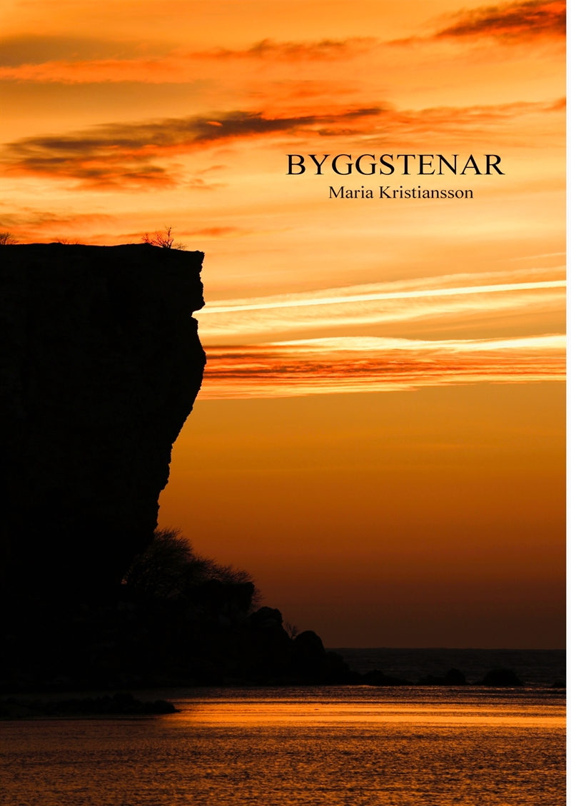 Byggstenar, E-bok - Ordochbok.se