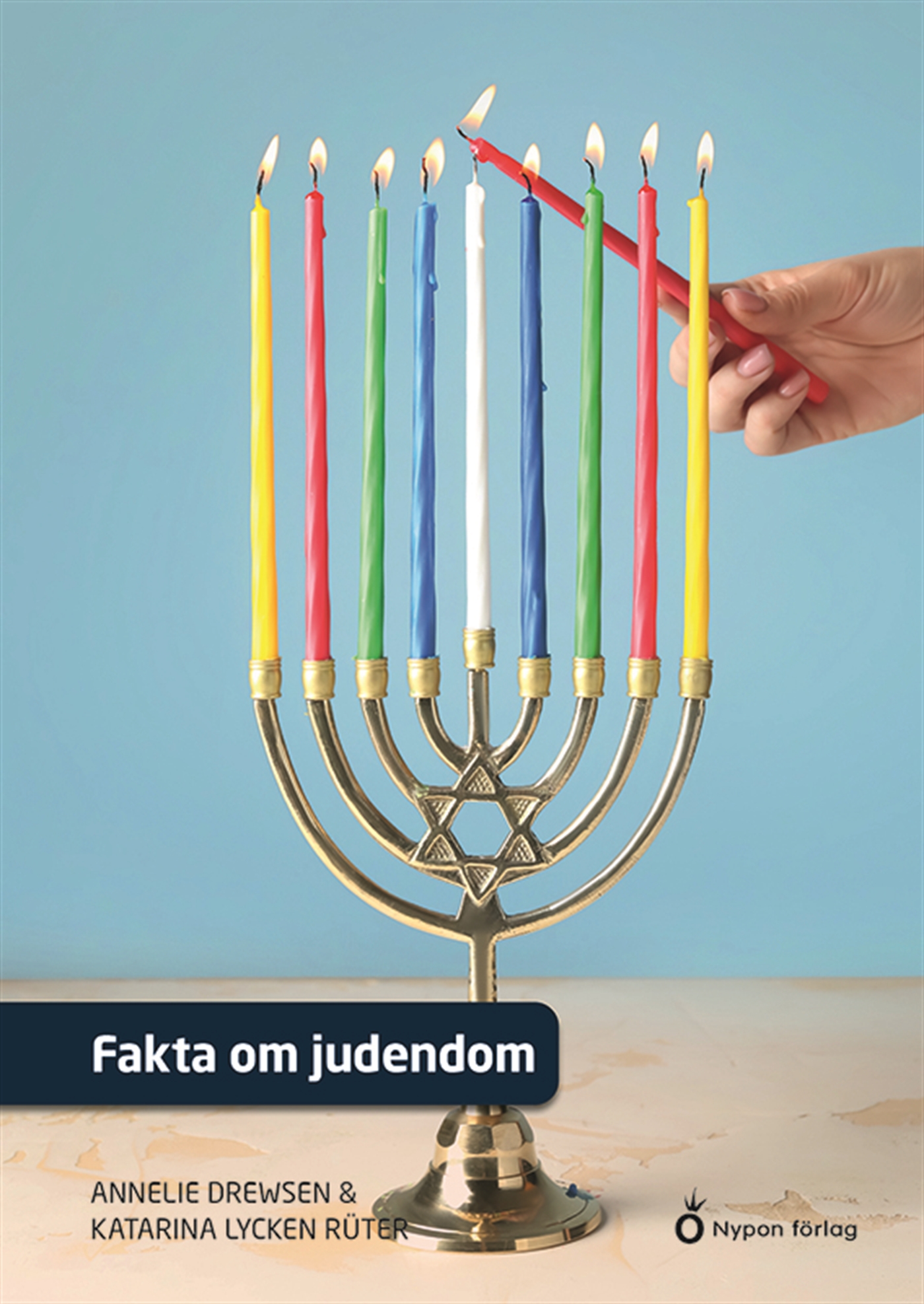 Fakta om judendom, E-bok - Ordochbok.se