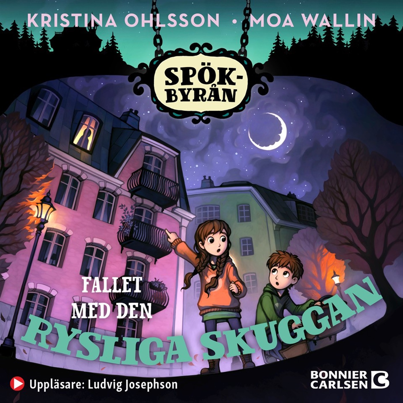 Fallet med den rysliga skuggan, Ljudbok - Ordochbok.se