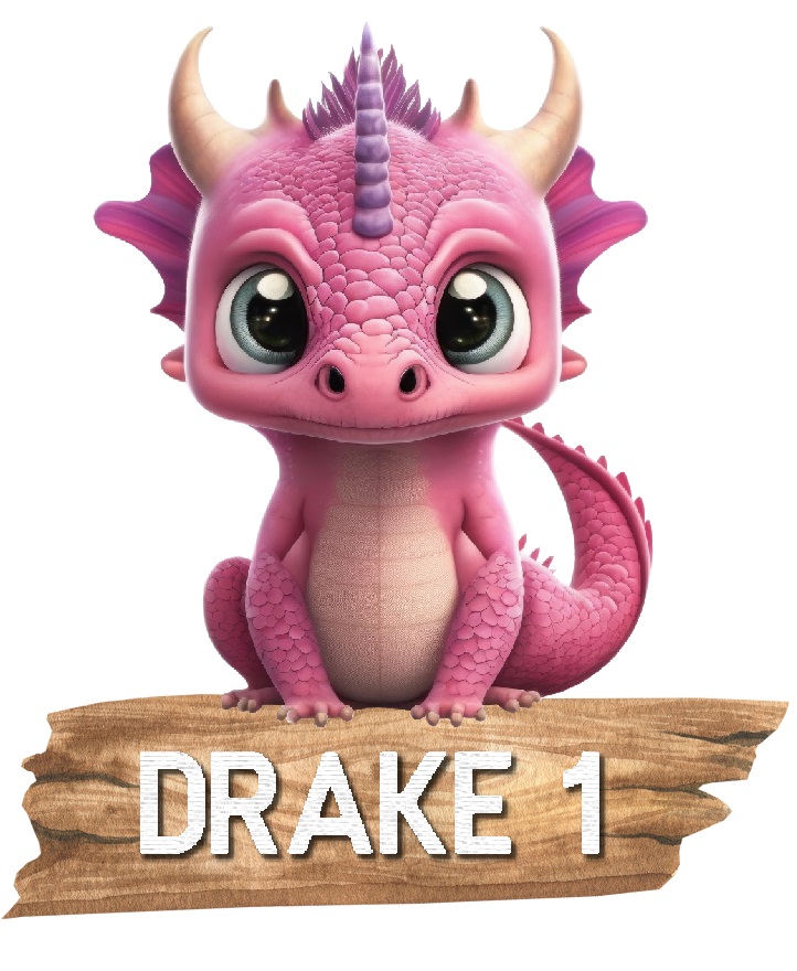 Drake med namn Poster - Paxlux.se