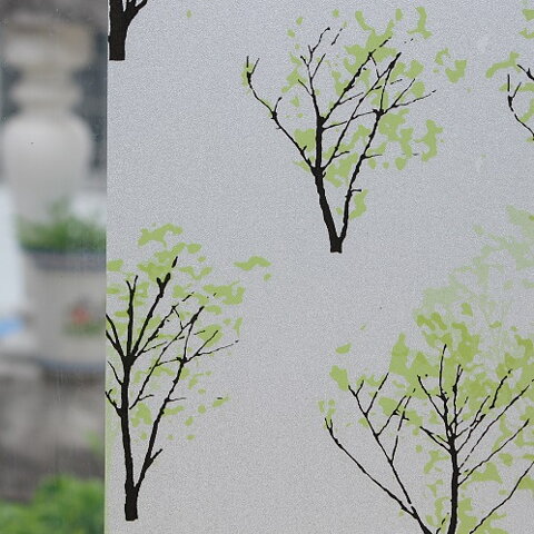 Insynsskydd för fönster med statisk fönsterfilm - Paxlux