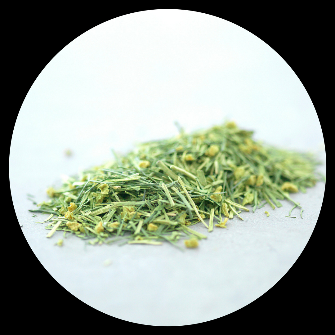 Matcha Yuzu Ryokucha | Grönt Te från Japan | Tea Junkie