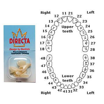 klardent.se - Directa Polycarbonat Crowns NR 2, Laterals