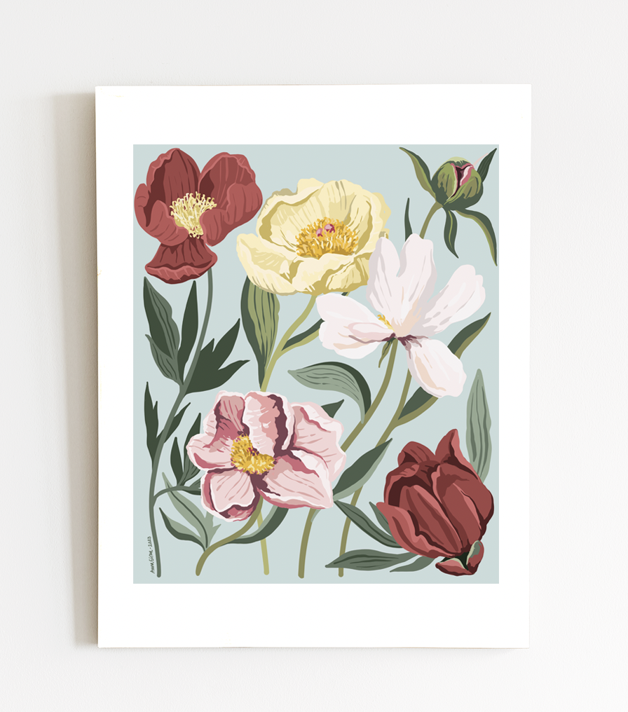 Poster Pion, affisch med pioneri olika färger. Botanisk poster