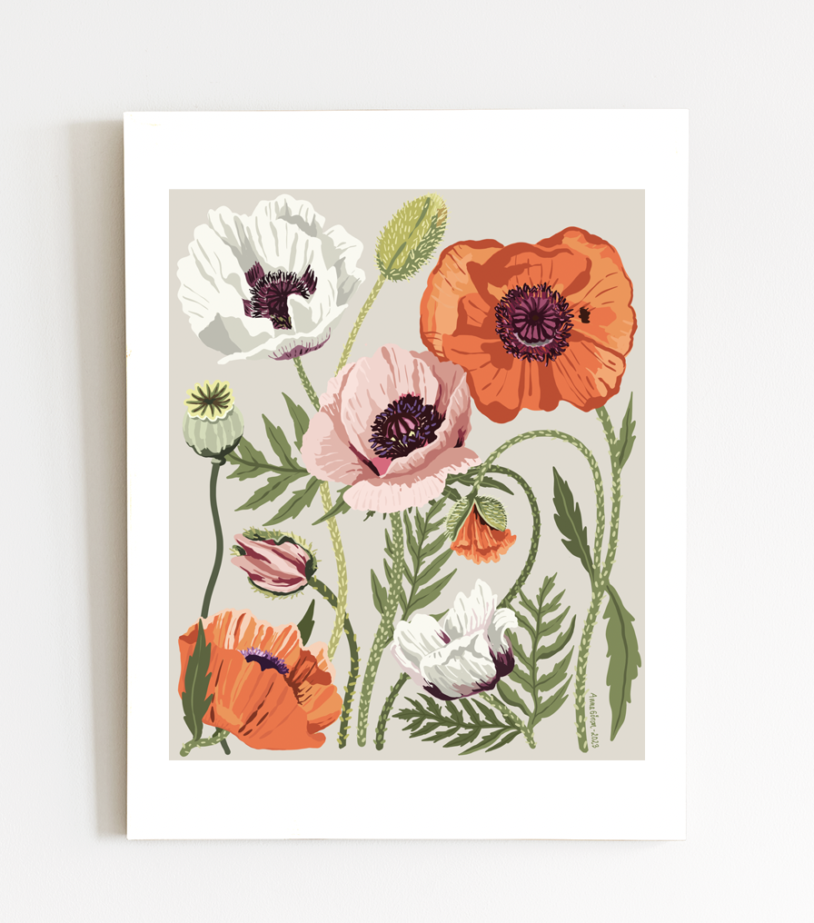 Poster Vallmo, affisch med vallmo i olika färger. Botanisk poster