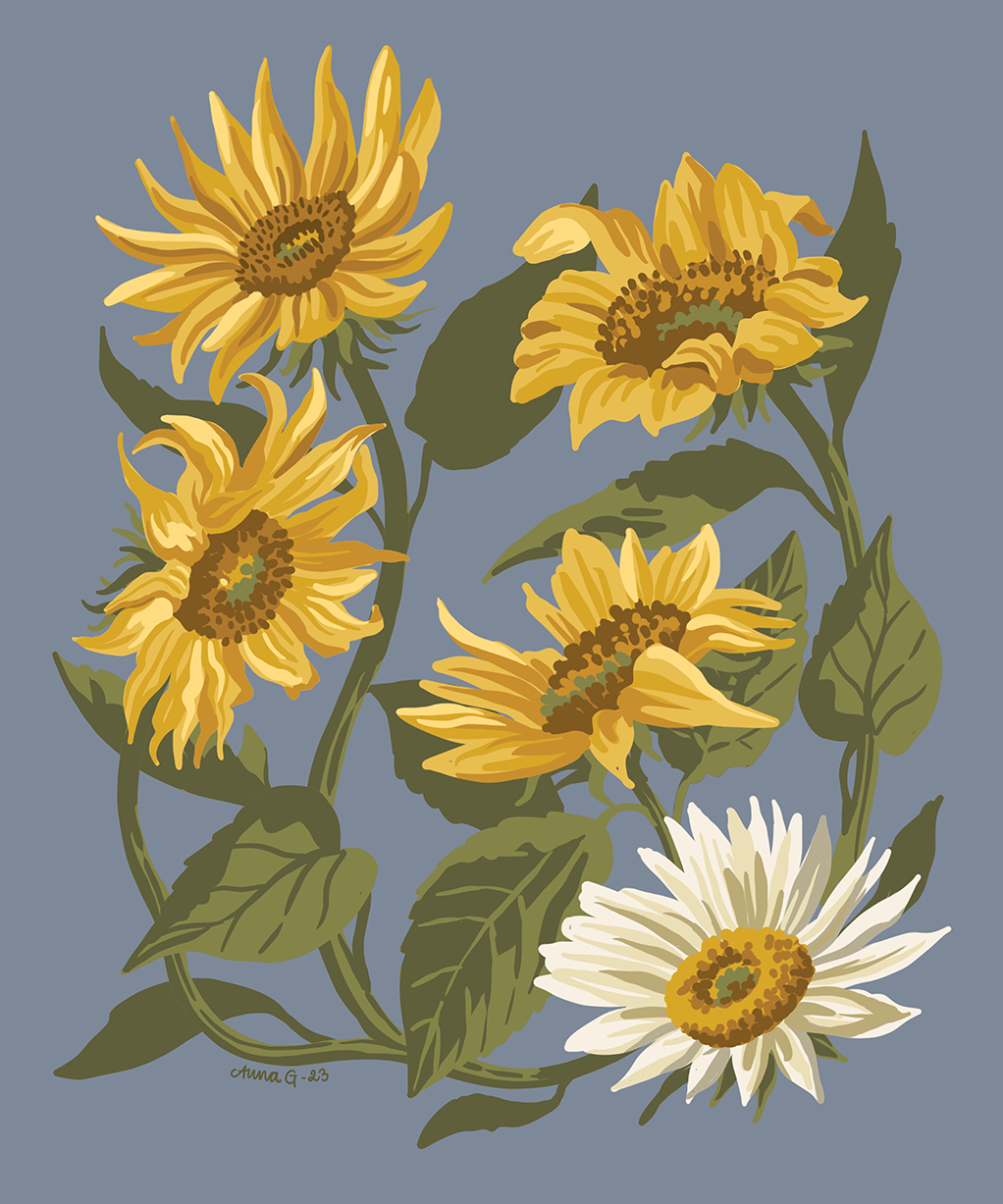 Poster Solrosor affisch med solrosor. Botanisk poster