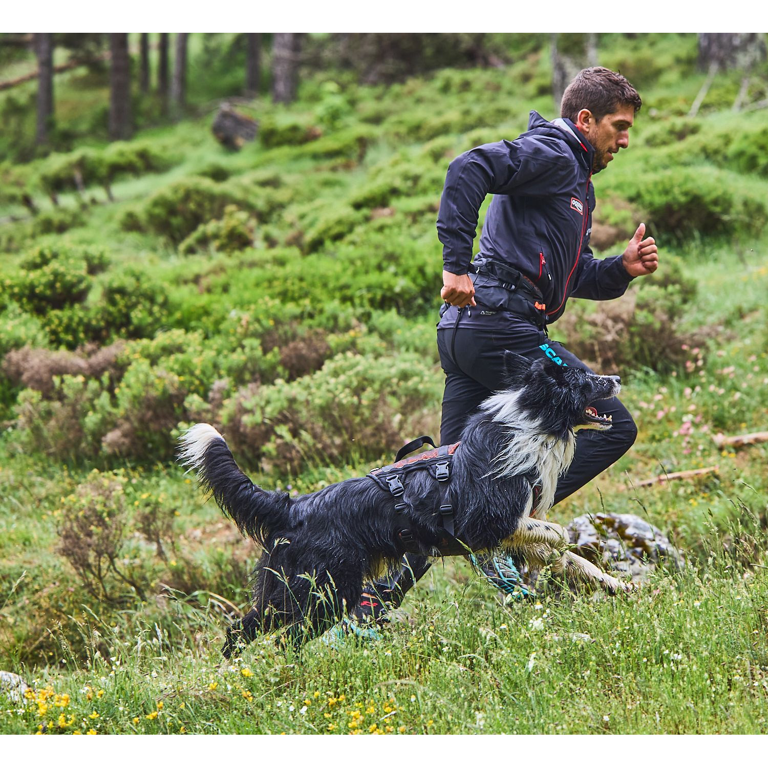 Non-Stop Sele Rock long - jamihundsport