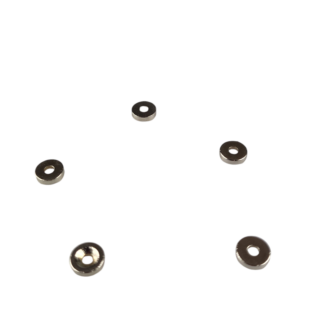 Container Nose Work - Magnet 5-p - Jamihundsport