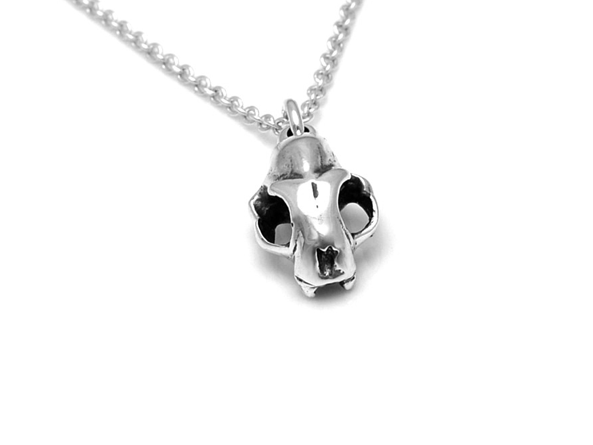 Liten Kattskalle Halsband, Katt Döskalle Hänge, Djurskalle Smycke i ...