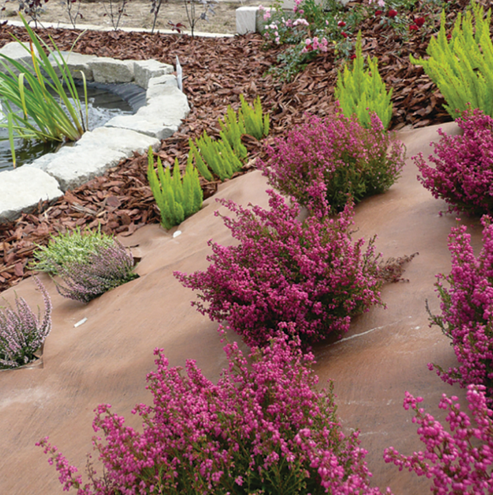 PLANTEX GOLD, 5,2X100M , 125 G/M2 - Compostcenter