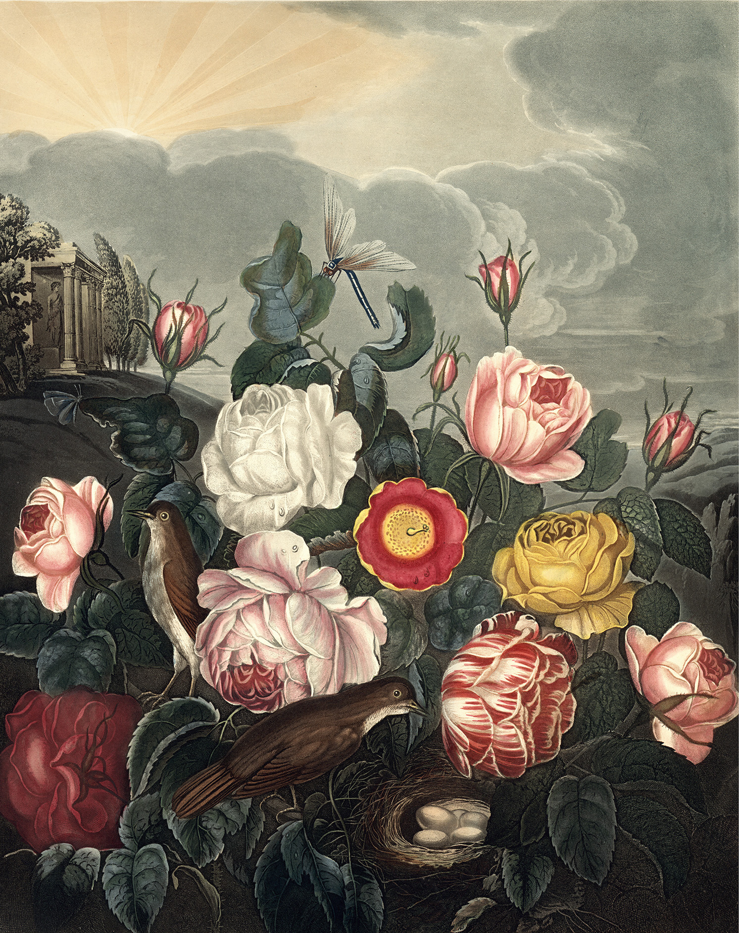 Roses by History art - Selected Nordic Design