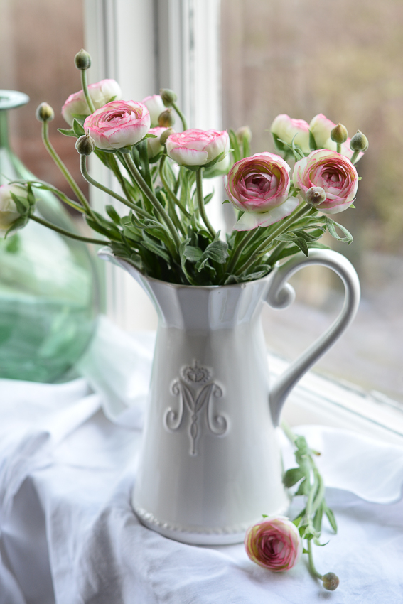 Ranunkel - VitVitareVitast