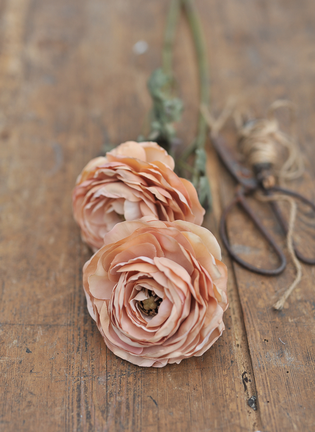 Ranunkel - VitVitareVitast