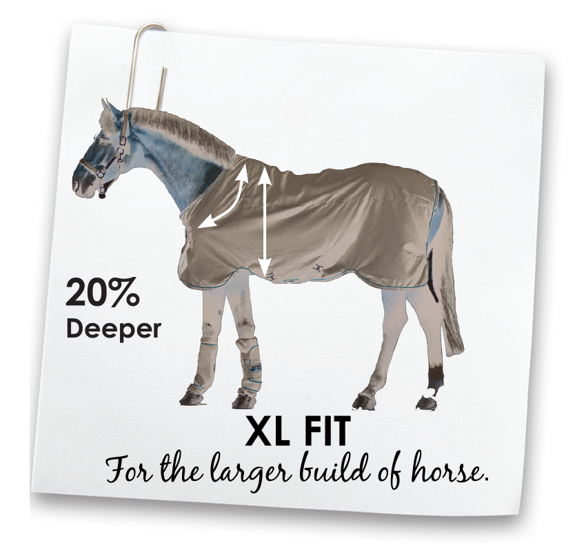 AMIGO XL BUG RUG PLUS - Strömsbergsgård