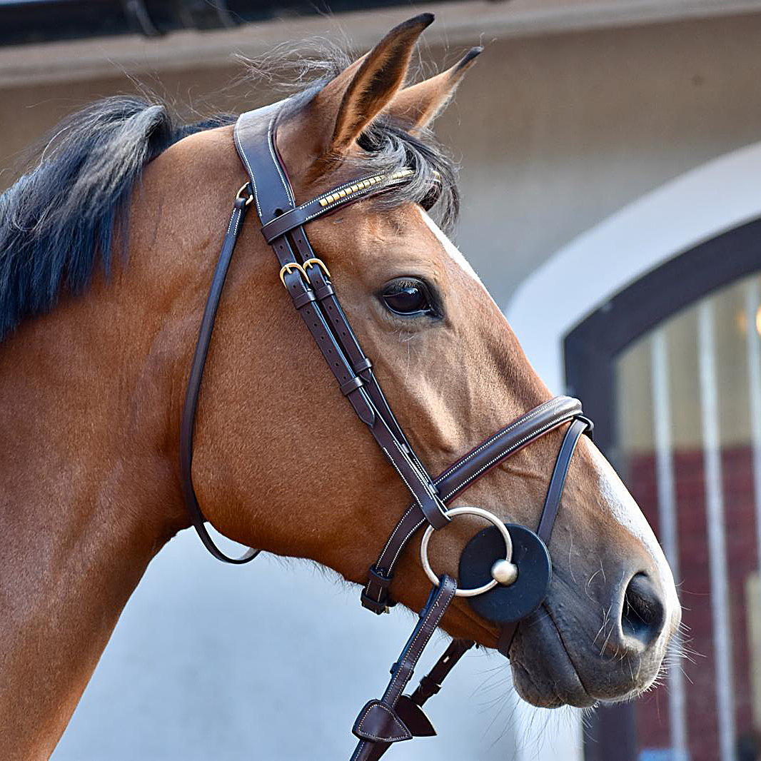 DYON WORKING BRIDLE CLINCHER - Strömsbergsgård