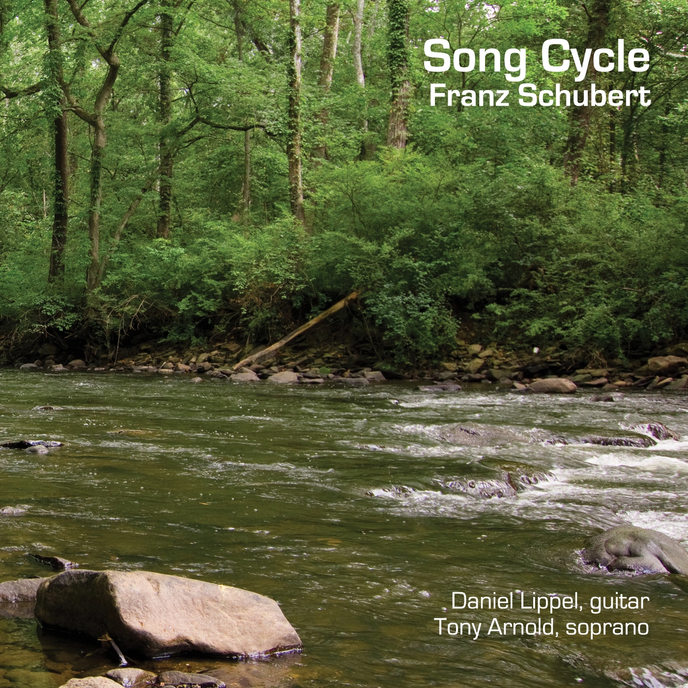 Song Cycle