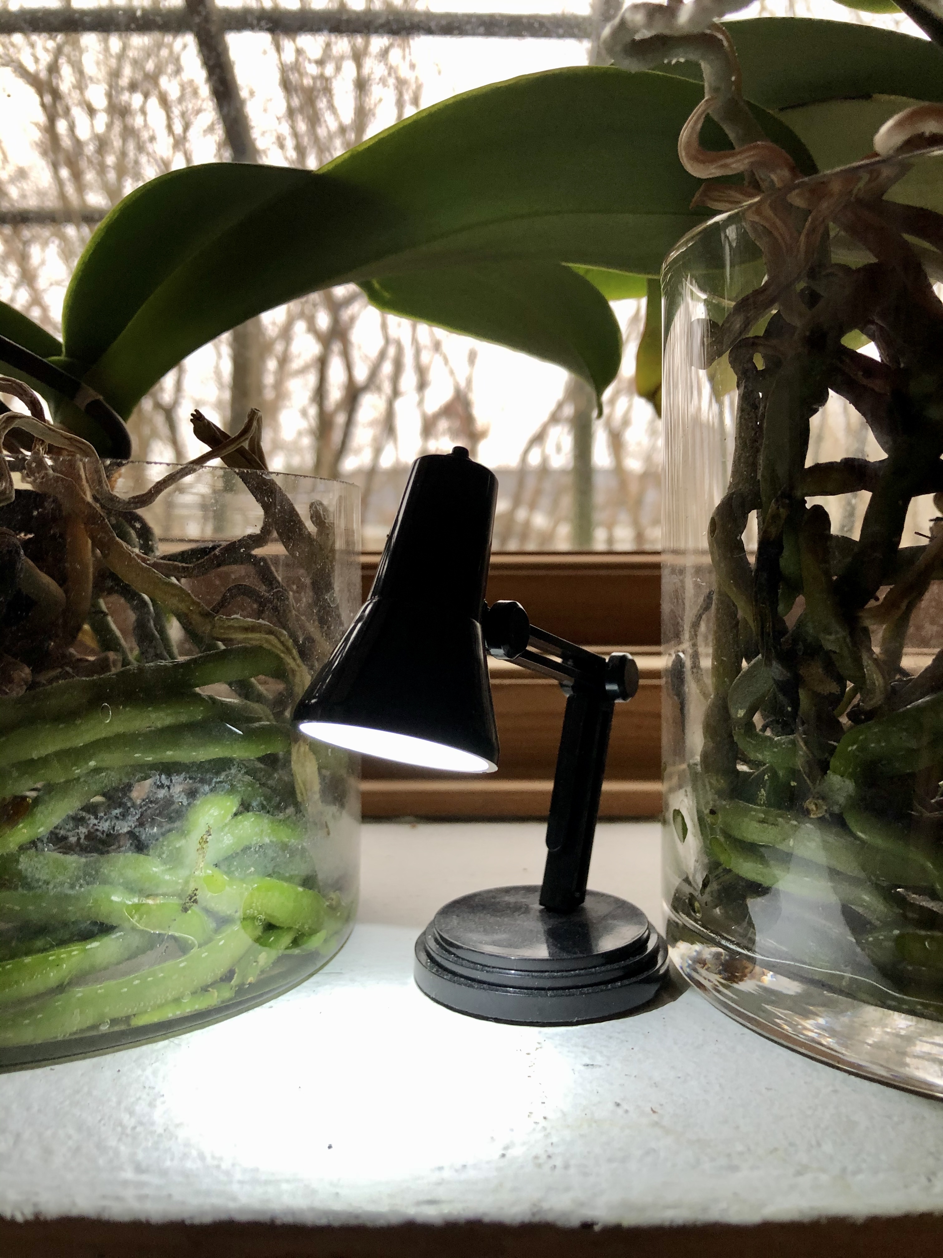 The Book Lamp : Läslampa i klassisk design - Midnight Blue - Bokvännen