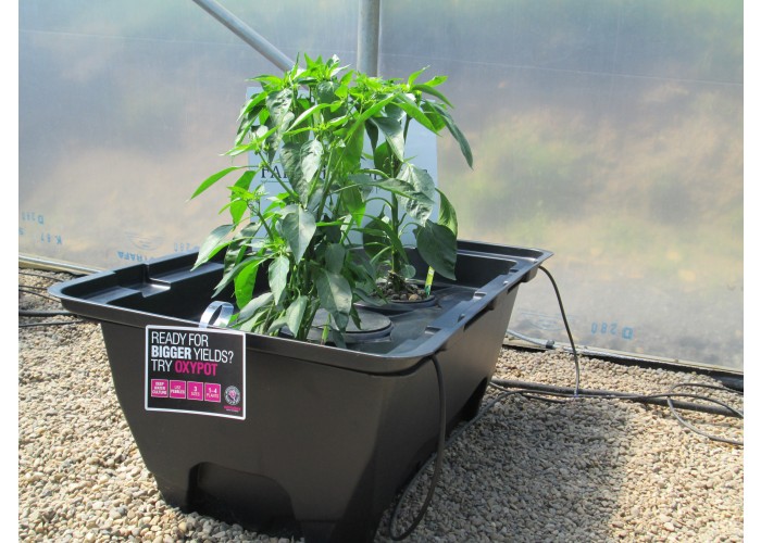 Nutriculture OxyPot XL DWC | Komplett paket för hydroponisk för odling ...