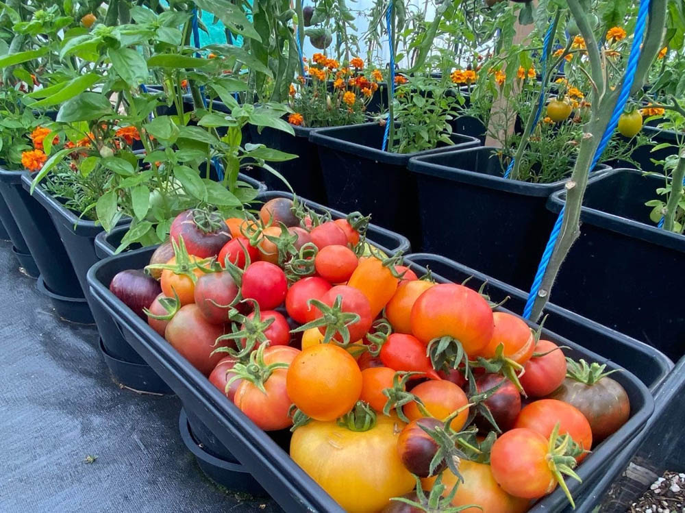 AutoPot 2Pot System | Effektivt bevattningssystem | Hydrogarden