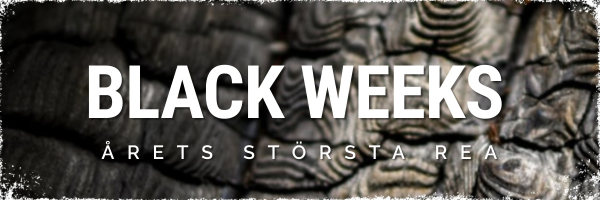 REA - The General Prepper