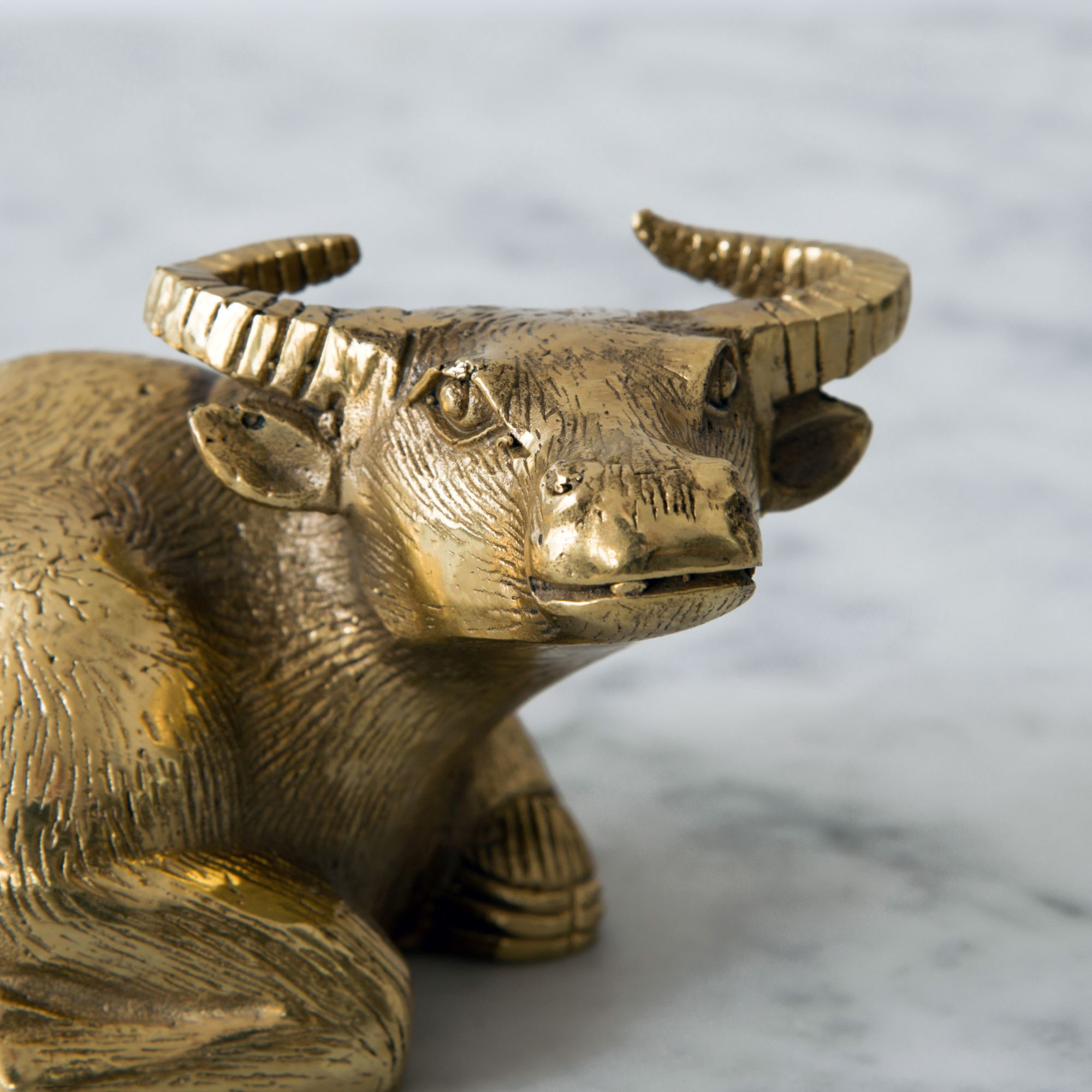 Buffel i Mässing - Fogelmarck